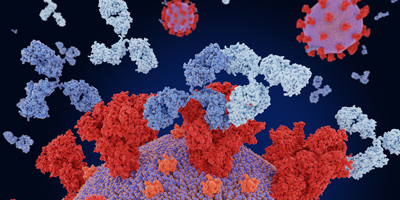 How long do mRNA and spike proteins last in the body? | Nebraska ...