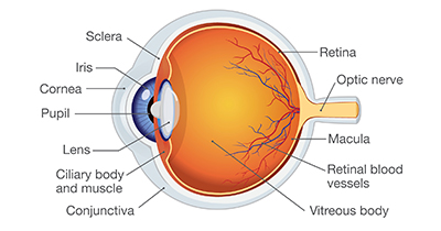 Eye floaters: what causes them and when to see a doctor | Nebraska ...