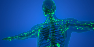 What happens when cancer spreads to the lymph nodes? | Nebraska ...