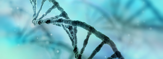 How genetics play a role in heart health | Nebraska Medicine Omaha, NE