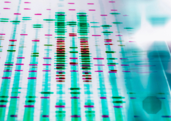 Genetic Insights Project update: Cancer screening patterns | Nebraska ...