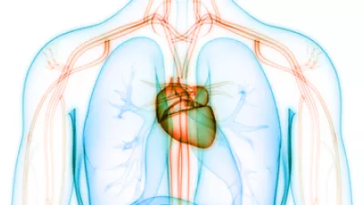 The heart of cryptogenic strokes: Diagnosing strokes when the cause is ...