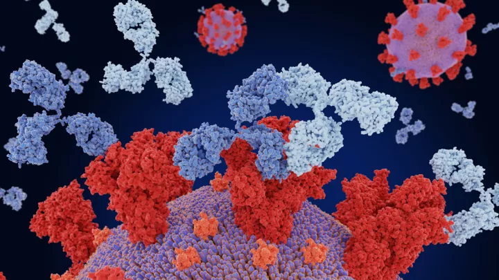 You asked, we answered: Can mRNA vaccines alter human DNA? | Nebraska ...